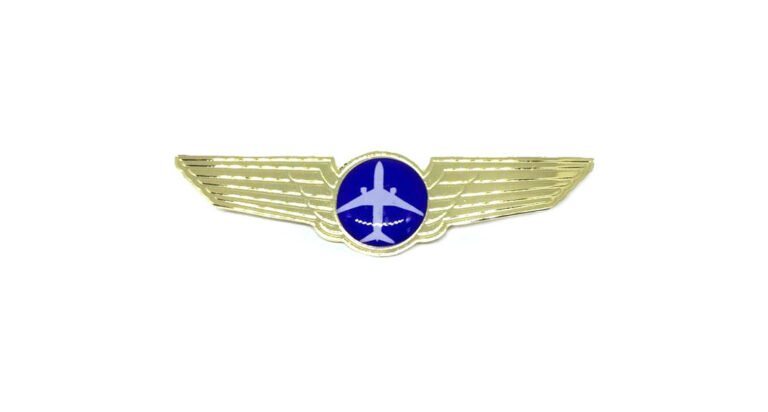 Pilot Wing Pins Bulk | Wing Pins Bulk | Custom Pilot Wings Pin